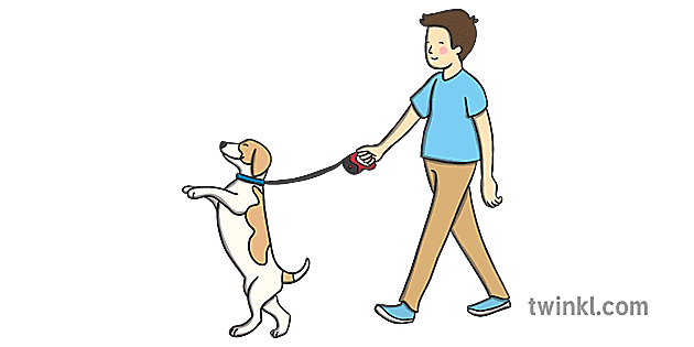 15 Philanthropy Project Ideas for Young Altruists | Twinkl