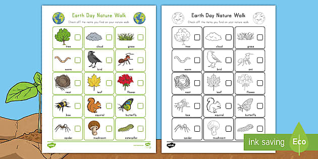 Earth Day Activities for Kindergarten and Lower Primary | Twinkl