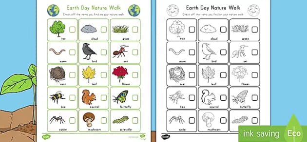 25 Fun Earth Day Activities for Students | Twinkl USA