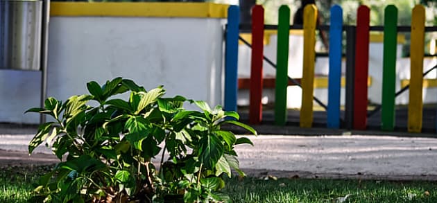 25 Fun Earth Day Activities for Students | Twinkl USA