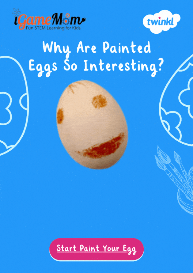 12 STEAM Activities for Kids to Fulfill Their Time During School Holiday