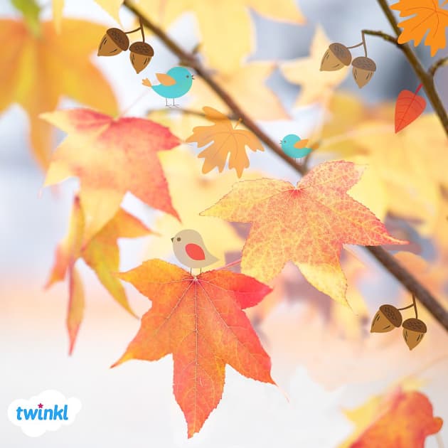 Absolutely Amazing Autumn Activities | Education | Twinkl