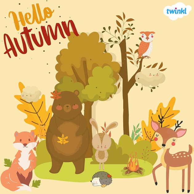 Absolutely Amazing Autumn Activities | Education | Twinkl