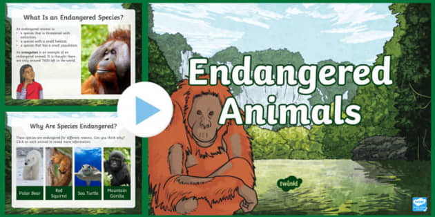 Interesting facts about Earth Day for kids - Twinkl