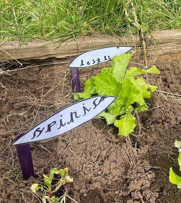 20 Outdoor Literacy Ideas For Early Years - Twinkl