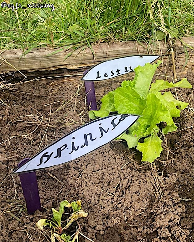 Early Years Continuous Provision Ideas For Literacy and Phonics