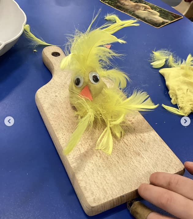 Exploring Nature's Marvellous Life Cycles - Twinkl