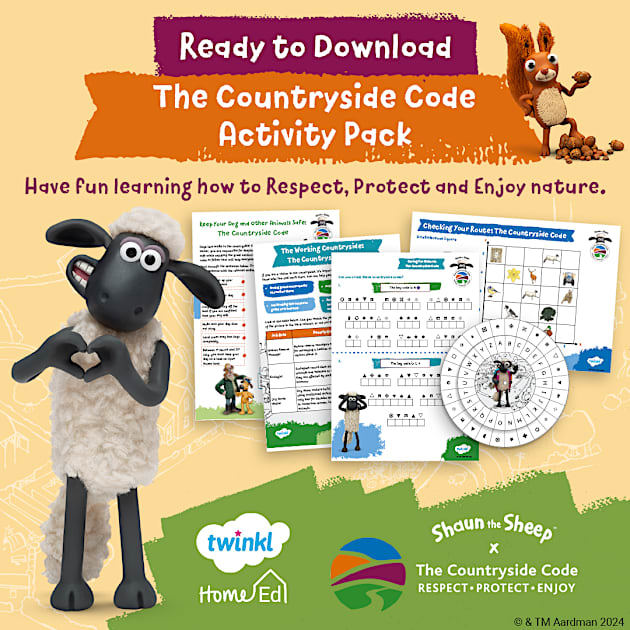 Twinkl Home Learning Hub - Twinkl