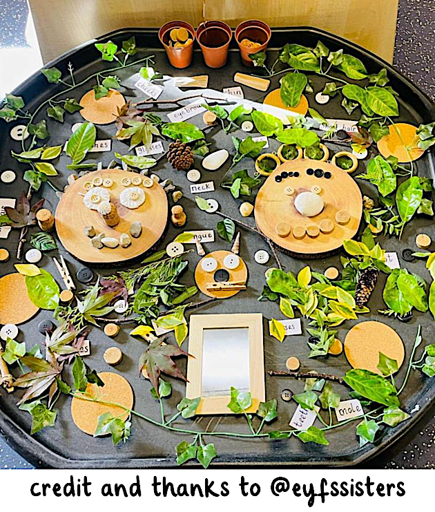 Early Years All About Me Activities for Ages 2-3 - Twinkl