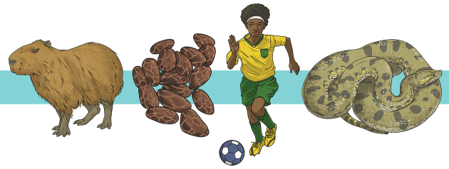 Fun Brazil Facts for Kids - Twinkl Homework Help