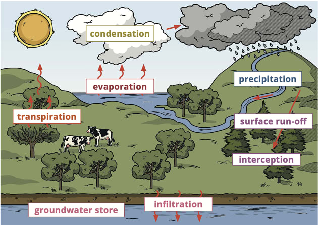 Siklus Air dan Penjelasannya - Twinkl