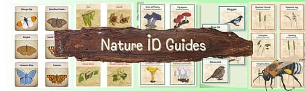 Top 10 Home Ed Activities for Hands-On Learning - Twinkl