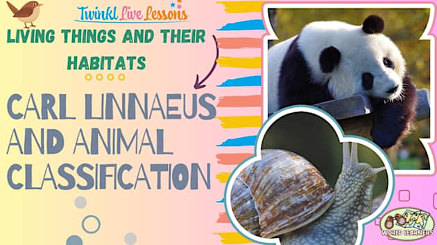 World Learners: Living Things and Their Habitats - Twinkl