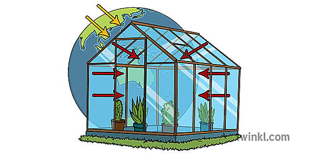 14 Earth Day Ideas and Activities you need to try! - Twinkl