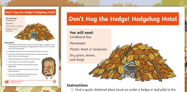 All About Hibernation for Preschoolers - Twinkl