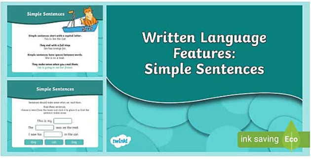 Which Twinkl Subscription Is Best For Homeschoolers in New Zealand?