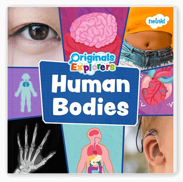 Non-Fiction November - Information eBooks from Twinkl Originals