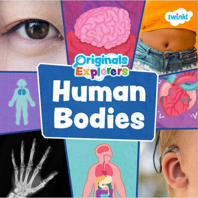 August Book Review - Twinkl