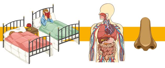 Interesting Facts About Human Bodies - Twinkl Homework Help