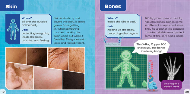 Non-Fiction November - Information eBooks from Twinkl Originals