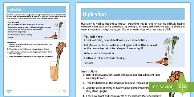 What can you do to stay hydrated? - Twinkl