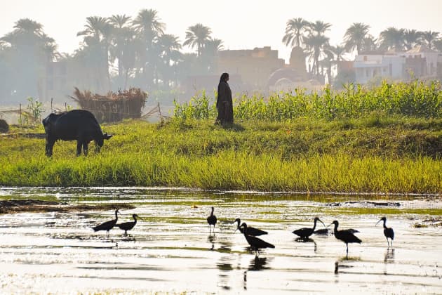 4 Geography Poems About Rivers - HASS - Twinkl