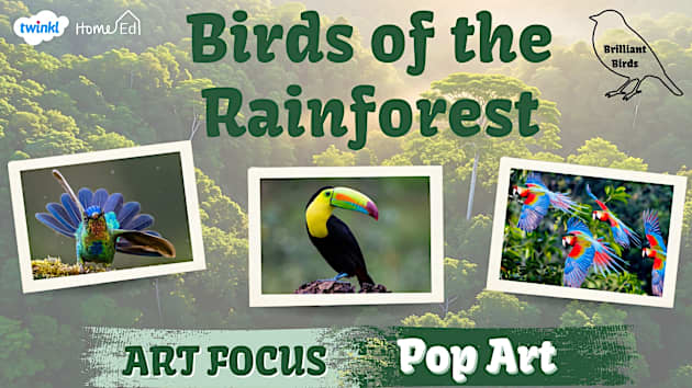 Project Sessions: Brilliant Birds - Twinkl