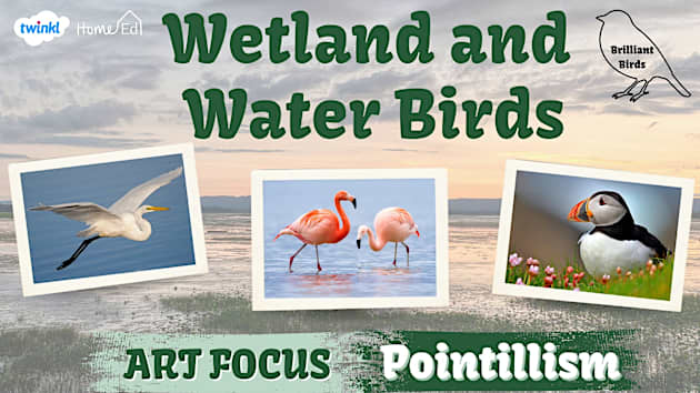 Project Sessions: Brilliant Birds - Twinkl