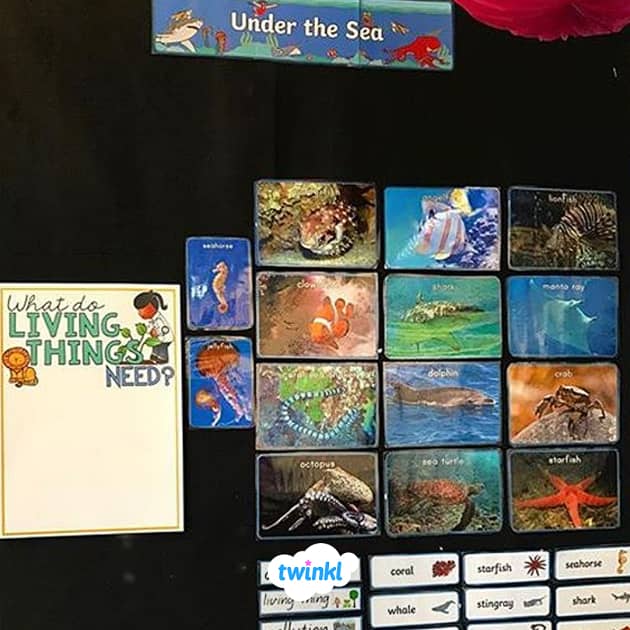 Dive Under the Sea With These Displays for National Science Week!
