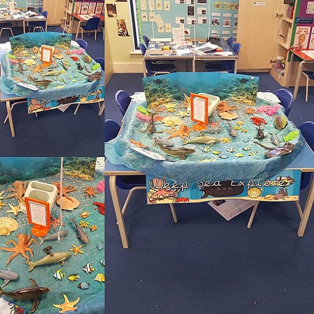 Dive Under the Sea With These Displays for National Science Week!