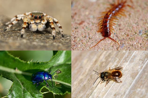 5 Fun and Sustainable Activities for Spring - Twinkl