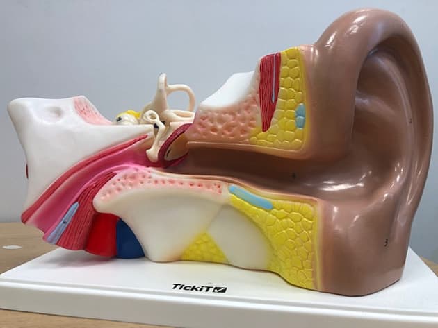 Deaf Awareness Week: The physical and emotional sides of deafness - Twinkl