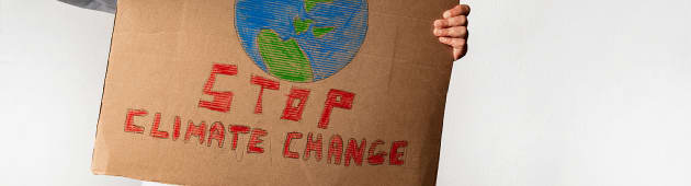 KS1 Digest: September Catch-Up - Twinkl