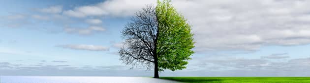 The New ITTECF: Five key areas that have changed - Twinkl Digest Education