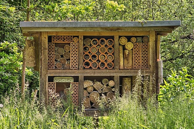 15 Activities to Get You Buzzing for World Bee Day | Blog