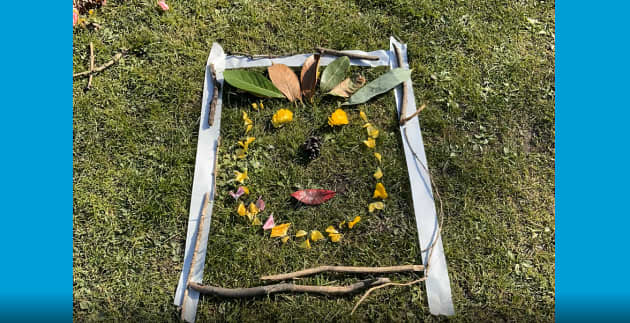 Twinkl Spring Activities for Kids - Twinkl