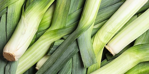 Top Tips For Starting a Kids-friendly Vegetable Garden