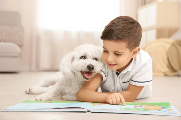 Perfect Books about Pets - Twinkl