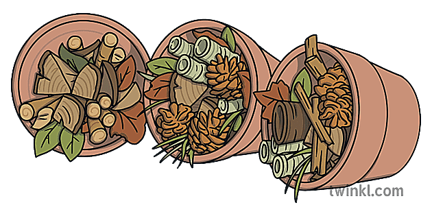 11 Outdoor Activities for Kids Before They Turn 11 - Twinkl CA