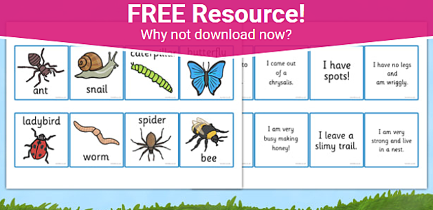 Family Fun: Minibeast Hunt - Twinkl