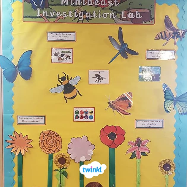 Our Favourite Twinkl Displays for Science Week - Twinkl