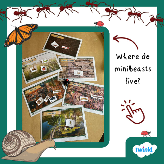 August Book Review - Twinkl