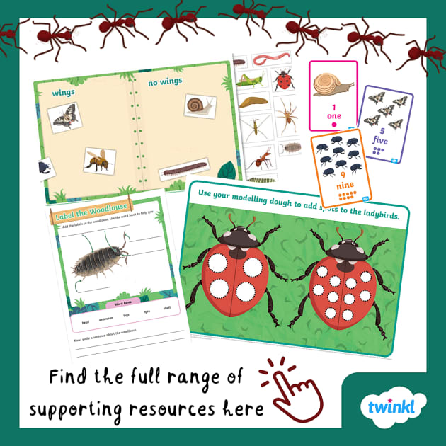 August Book Review - Twinkl