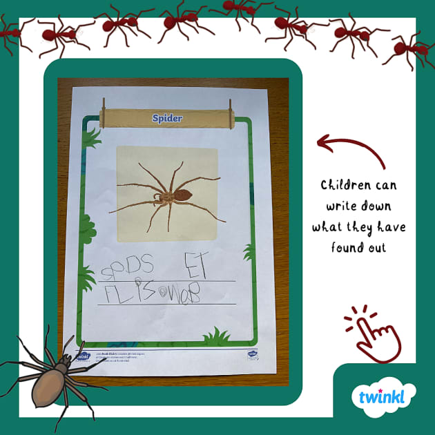 August Book Review - Twinkl