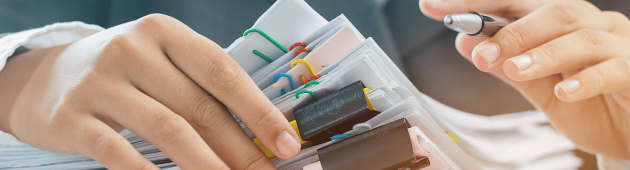 KS1 Digest: January Catch-Up 2024 - Twinkl Digest Education News