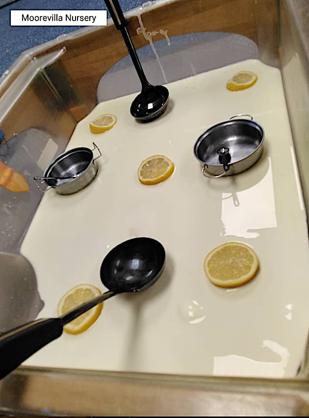 Pancake Day Activities for Early Years - Twinkl