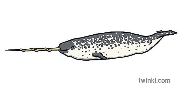 Canada’s Magical Marine Life and Ecosystems | Twinkl CA Blog