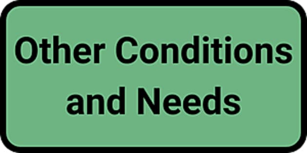 Is a Twinkl Membership Worth the Money for SEND Teachers?