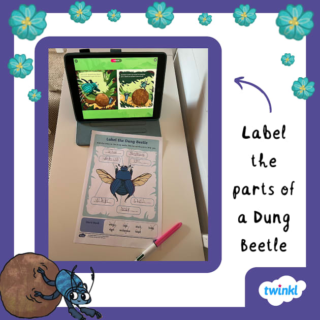 May Book Review - Twinkl