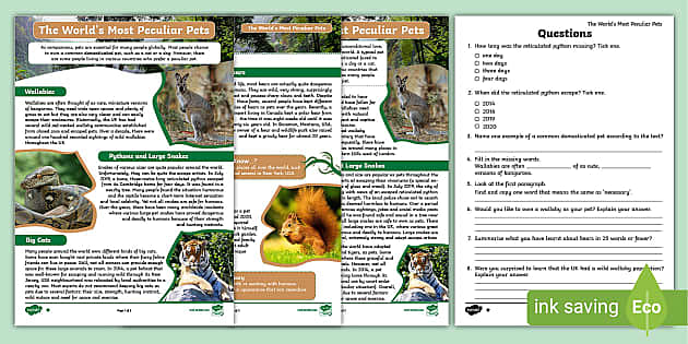 10 Fun Ways To Celebrate National Pet Month With Kids